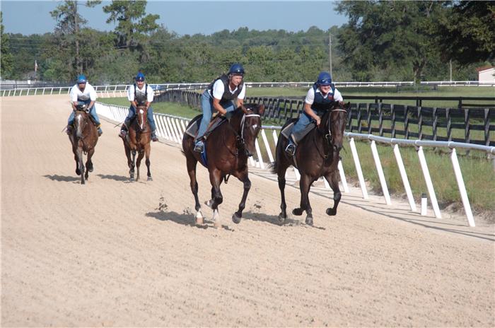 Ocala Training Facilities - New Episode Training Center, Ocala ...